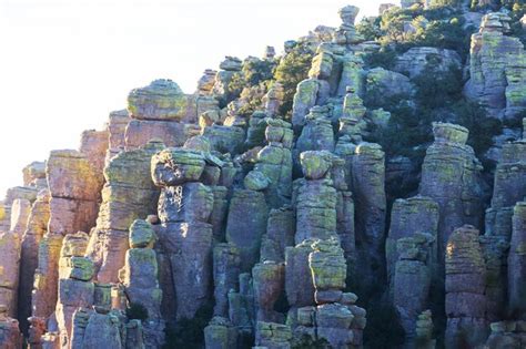 Premium Photo Chiricahua