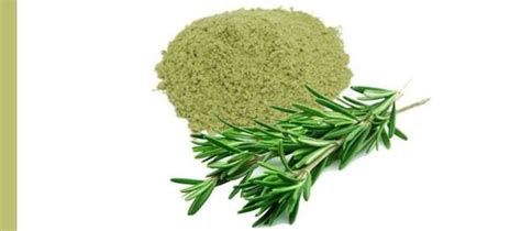 Carnosic Acid Powder At Best Price In Bengaluru Karnataka Zakinl Bio Tech Pvt Ltd