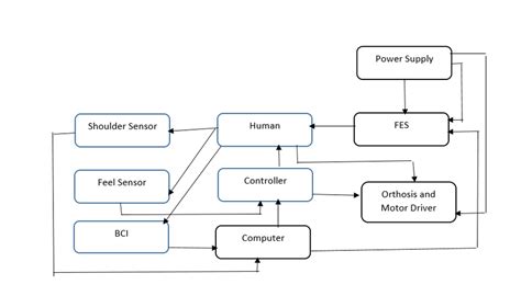 Future Bci Based Fes Model Download Scientific Diagram