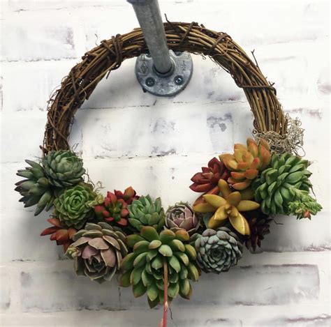 Pin On Living Wreath In 2024 Succulent Wreath Diy Living Wreath Diy