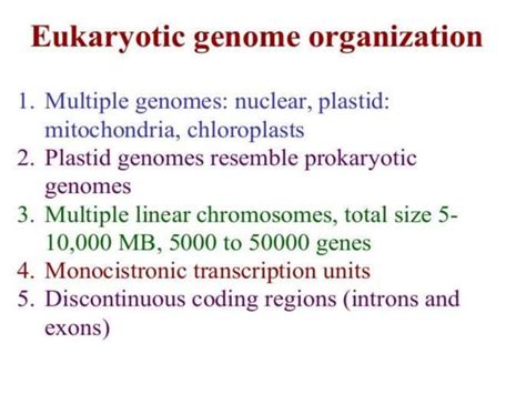 Ppt On Microbial Genome Pptx
