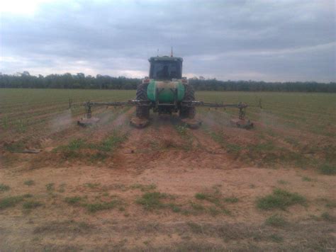 Sweet As Weed Control