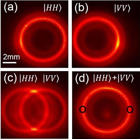 Spatial Distribution Of The Spdc Paired Photon Recorded Using Emccd