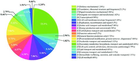 C Functional Annotations Of The Core Genes Using The Cog Database