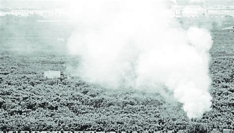 Puñaladas Por La Espalda Las Provincias