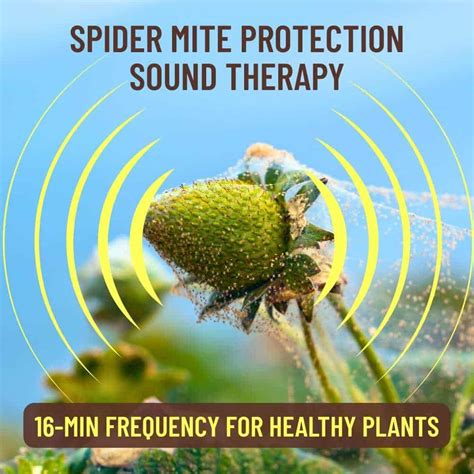 Spider Mite Protection Sound Therapy 16 Min For All Plants
