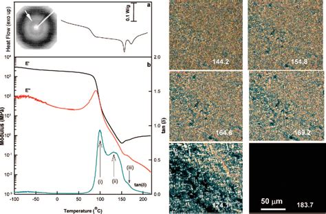 Figure From Combined One Way And Two Way Shape Memory In A Glass Forming Nematic Network