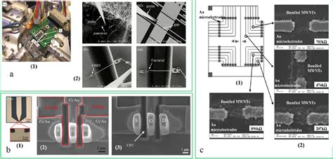 Figure 1 From A Review On Microscopic Visual Servoing For