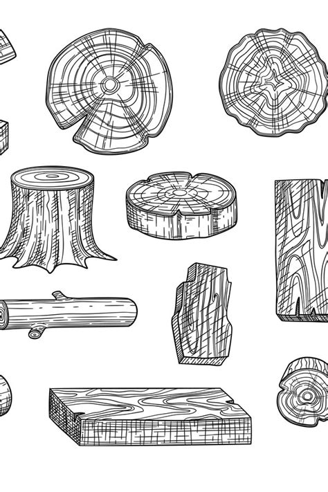 Lumber Wooden Trunks Branch Oak Stacked Log From Tree Vecto