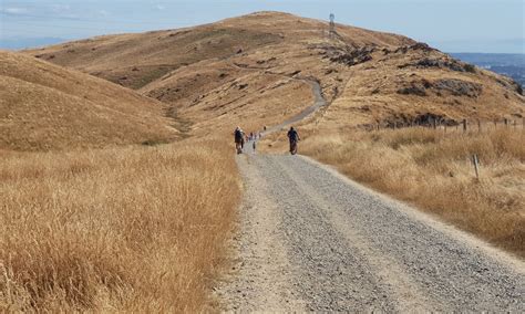 Hidden Treasures Rapaki Track Cycling In Christchurch