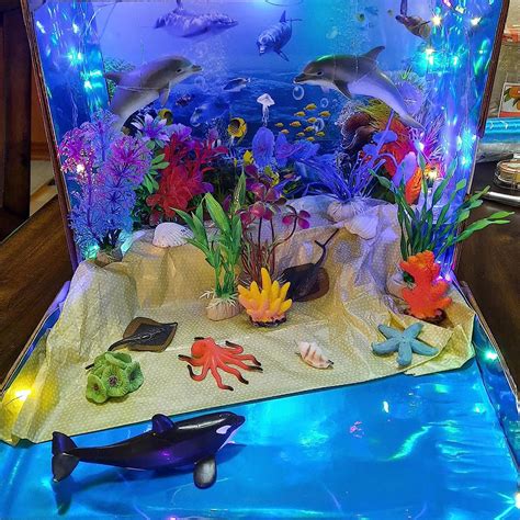 Ocean Ecosystem Diorama Biome Dioramas With His Grace