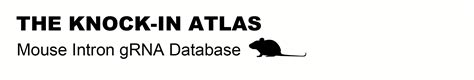 Mouse Grna Database