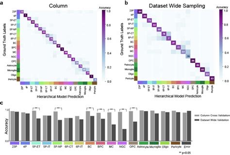 Perisomatic Ultrastructure Efficiently Classifies Cells In Mouse Cortex