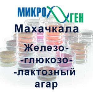 Железо-глюкозо-лактозный агар - ТД Био-Диагностика