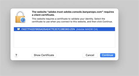 Macos How To Show Certificate Selection Popup To The User In WKWebview Embedded Browser In Mac