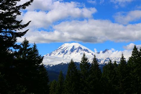 Mt Baker Vs Mt Rainier Which One Should Be Your First Big Climb
