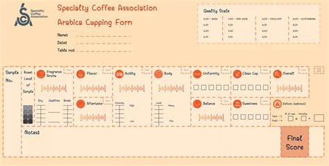Coffee Standards And Grading Cqi Sca What Does It All Mean Sip Magic