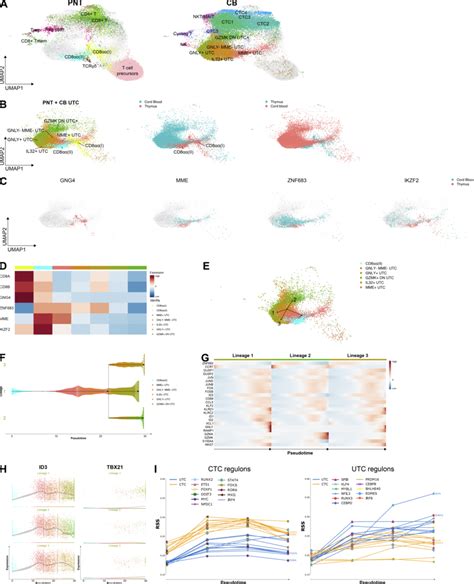 Utc Pathway Analysis Reveals Three Effector Lineages A Integration Download Scientific