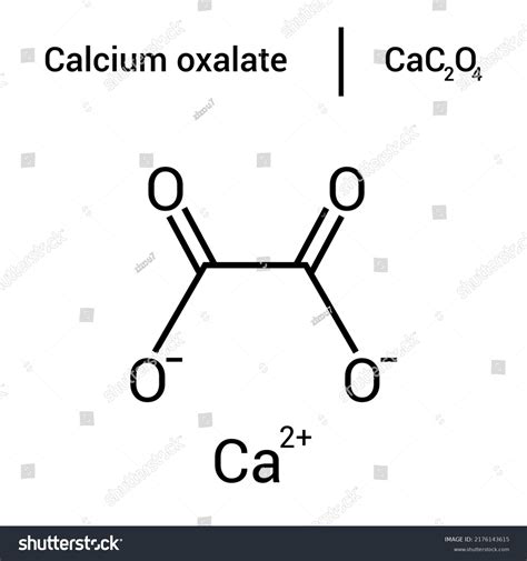Chemical Structure Calcium Oxalate Cac2o4 Stock Vector Royalty Free