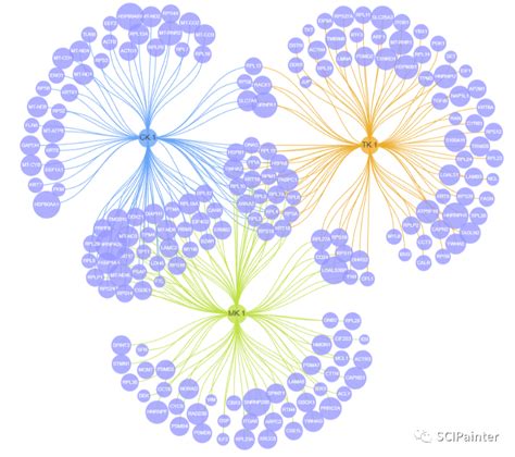 分享18种特色科研图表的绘制方法科研绘图 Csdn博客