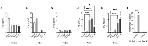 Immune Responses To Systemically Administered Tmenc Nanocages Analysis