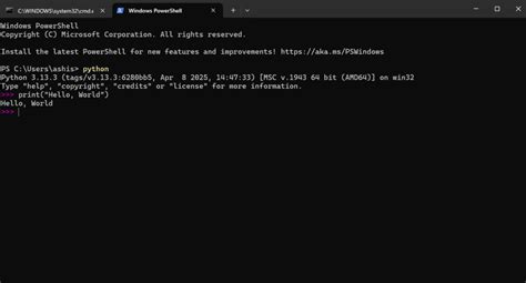 Python Code Execution Outshine Labs