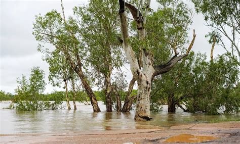 Programs Selectability