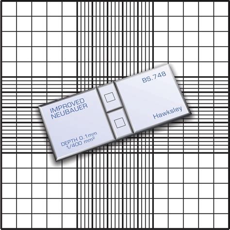 Neubauer Improved Haemocytometer Counting Chamber Hemocytometer