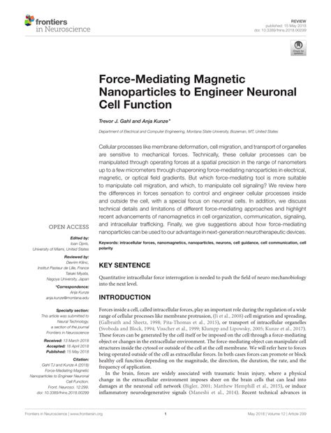 Pdf Force Mediating Magnetic Nanoparticles To Engineer Neuronal Cell Function