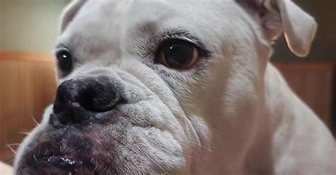 Re Post Here But I Need Advice This Cute Faces Life Depends On It Please Front Page This