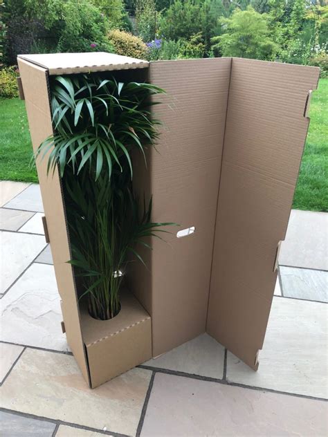 Plant Pot Box Case Study Lesters Packaging