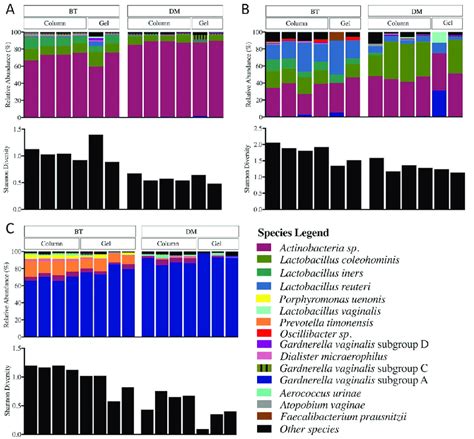 Stacked Bar Plots Representing The Relative Abundance Of Bacterial Download Scientific Diagram
