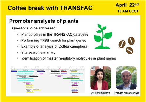 Promoter Analysis Of Plants Genexplain Gmbh