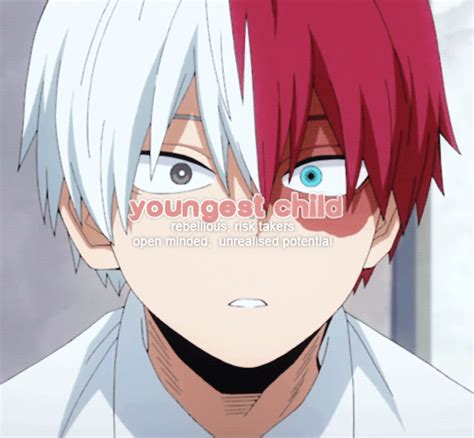 The Past Never Dies Todoroki Siblings Birth Order Traits Insp