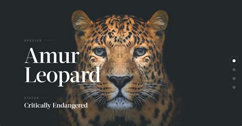 free responsive drop down menu jquery css3 using icon symbol freshdesignweb