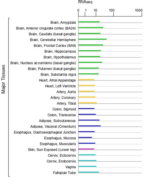Sstr2 Gene Genecards Ssr2 Protein Ssr2 Antibody