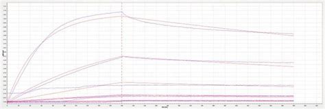 Sars Cov 2 Nucleocapsid Chimeric Human Anti Virus Clone N39hc