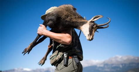 A Evolène Un Sentier Didactique Sur La Chasse Risque De Ne Rhône Fm