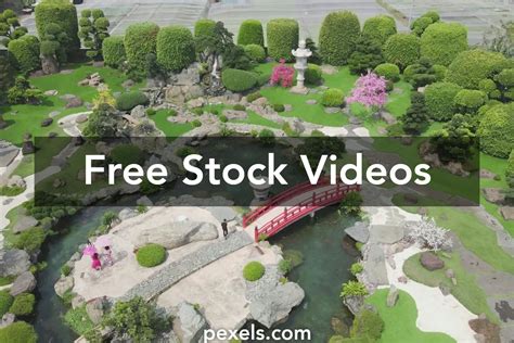 Japanesemotherandsoncellophanelapdance Videos Download The Best