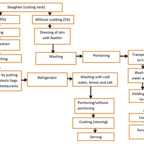 Flow Chart Of Chicken Value Chains In Eastern Ethiopia Focused On Food Download Scientific