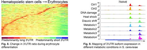 Projects Sloan Kettering Institute