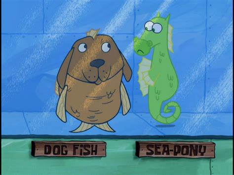 Spongebob Whale Of A Birthday Full Episode