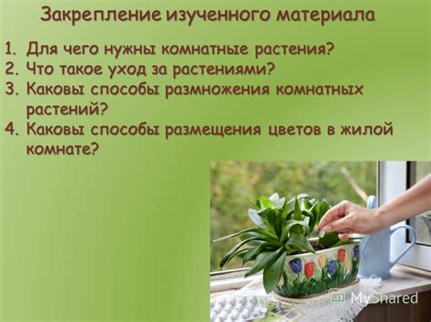 Презентация на тему: "Роль комнатных растений в жизни человека и уход ...