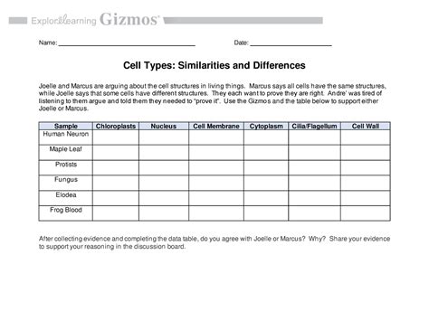 Cell Types Similarities And Differences Name Date Cell Types