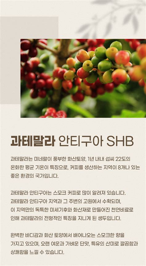 캅카와 커피생두 과테말라 안티구아 Shb 5kg 캅카와