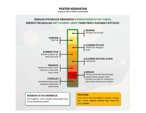 Poster Warna Urine Pdf