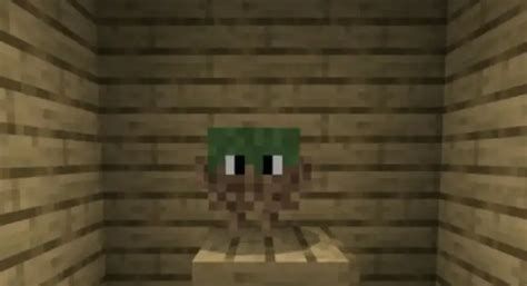 Pets Blocks Mod 5 Pets Blocks Mods For Minecraft