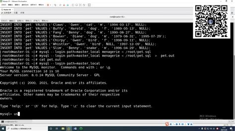 Sql Bilibili
