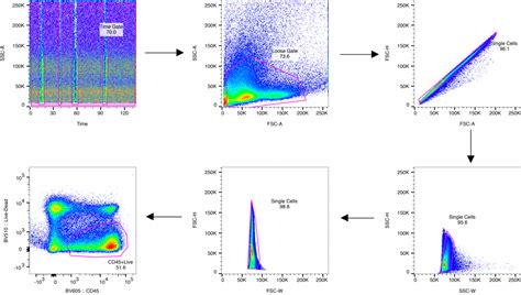 Flow Cytometry Parameters At Eric Toothaker Blog
