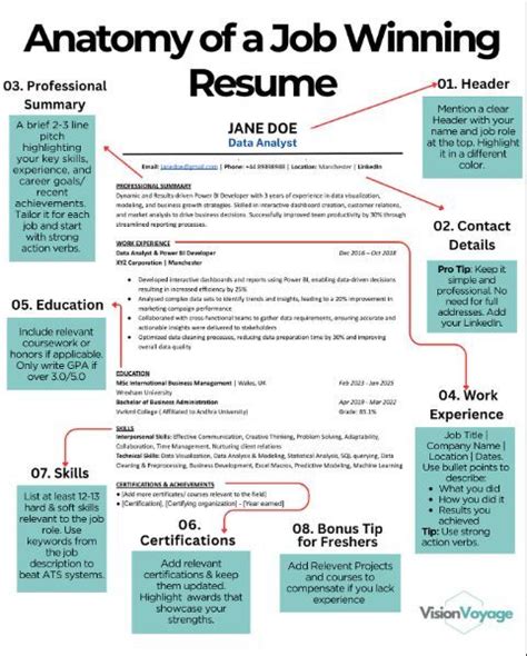 Just Like The Human Body Every Resume Has Essential Parts That Keep It